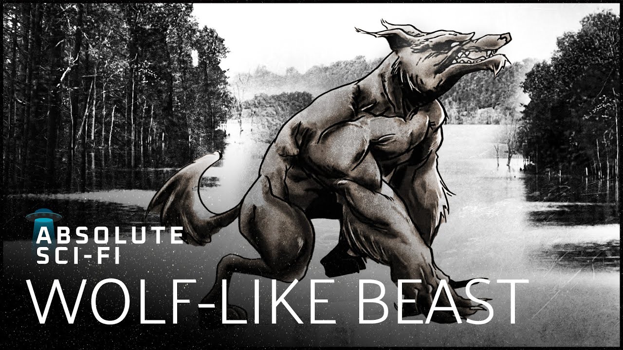 Bearilla: The Bear-Wolf Beast Lurking In Kentucky's Forests | Boogeymen ...