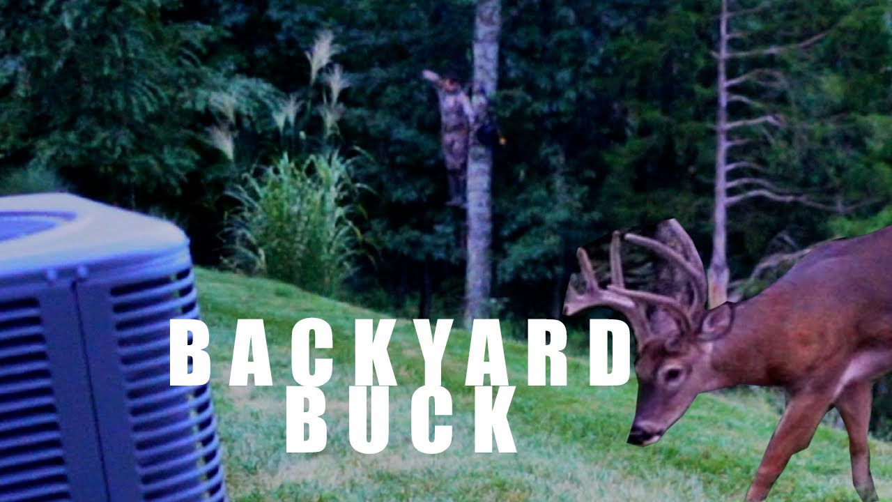 SUBURBAN DEER HUNTING - BACKYARD BUCK - YouTube
