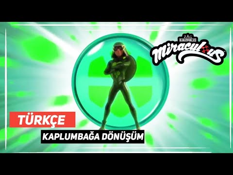 MUCİZE: UĞUR BÖCEĞİ İLE KARA KEDİ |🐢 KAPLUMBAĞA DÖNÜŞÜM 🐢| TÜRKÇE