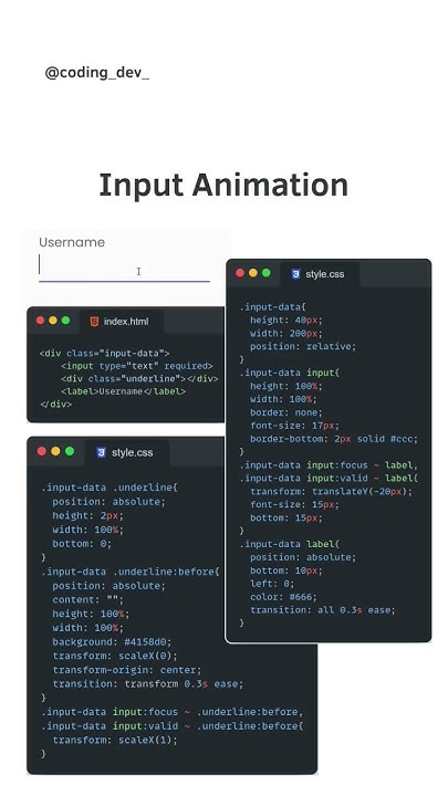 Input Animation Coding Html Webdesign Css Htmlcss Webdevelopment Webprogramming Css3