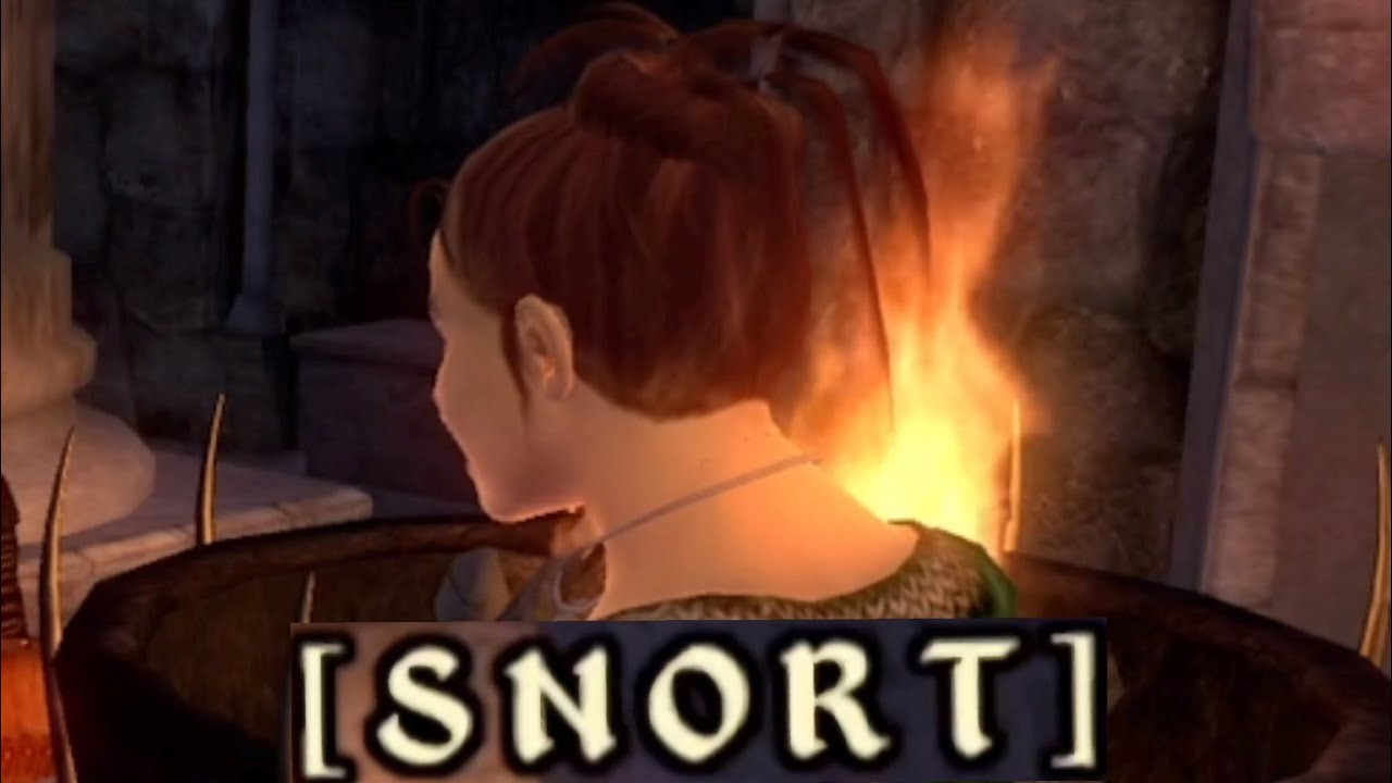 Typical Oblivion NPC interaction - YouTube