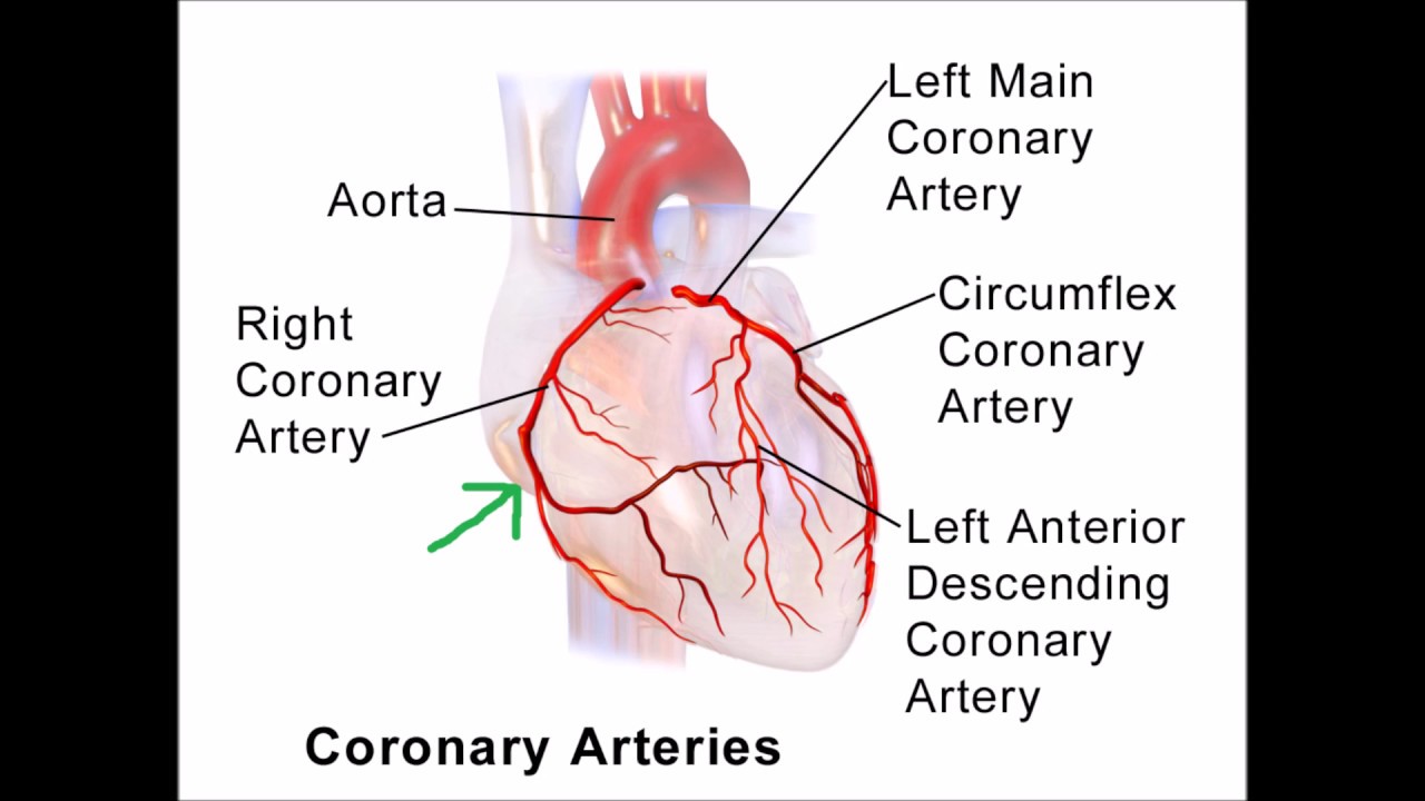 How to: V4R - YouTube