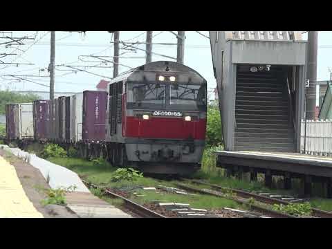 DF200-55号機牽引レッドベアー 3084レ 室蘭本線 鷲別駅 - YouTube