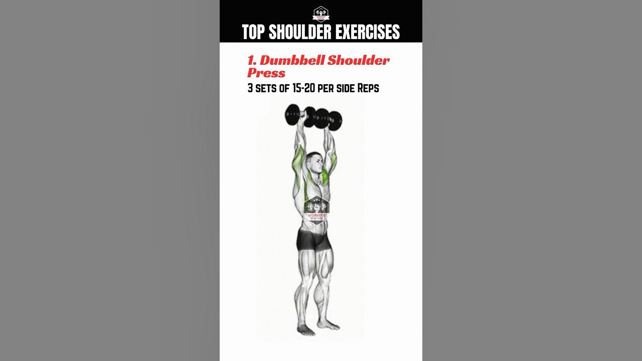 3 Top Shoulder Exercises For Strong Defined Shoulders Shoulderexercises Shorts Youtube