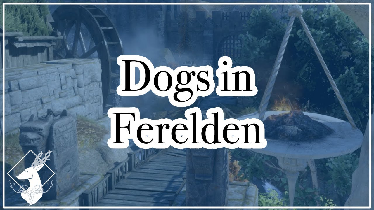 {Codex-DAO} Dogs in Ferelden - YouTube