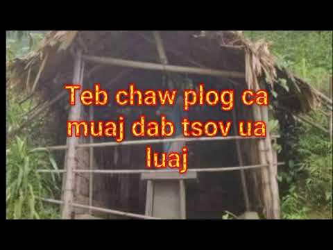 Teb chaw plog Ca muaj dab tsov ua luaj 2022 - YouTube