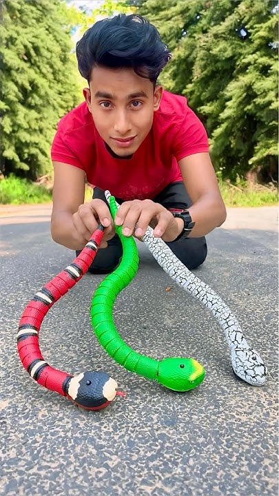 Three Remote Control Snake🐍Unboxing - YouTube