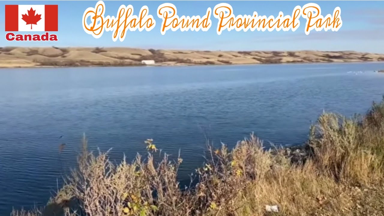 Buffalo Pound Provincial Park |Autumn Season| Saskatchewan, Canada ...