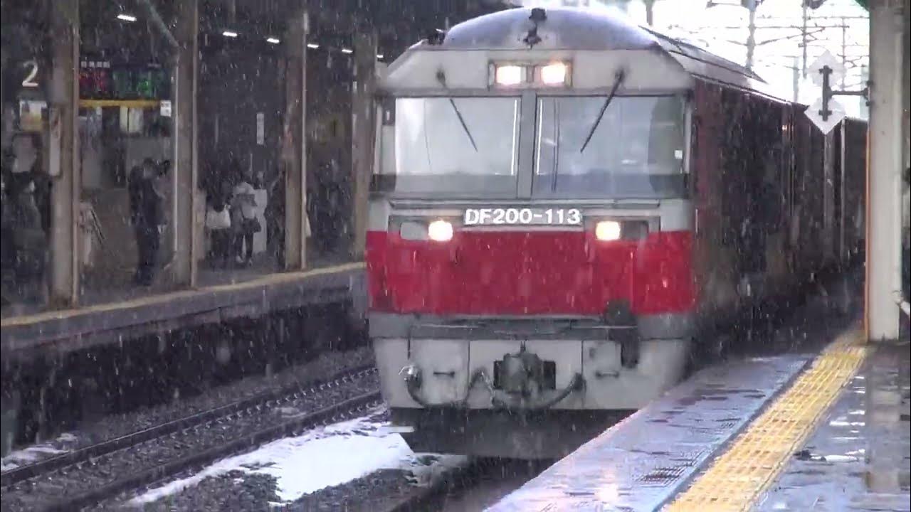 【JR貨】DF200-113牽引 高速貨物 3056レ 新札幌通過 (FHD) - YouTube