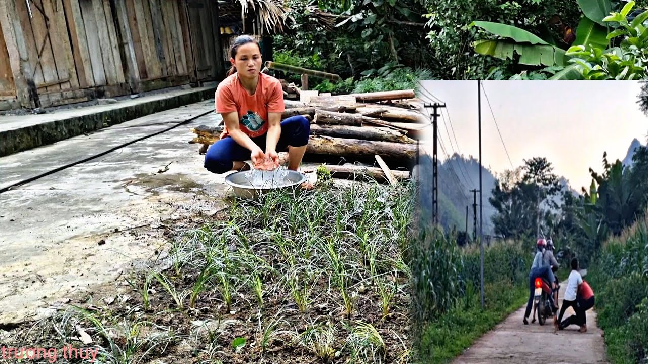 Clean up the garden, plant herbs, and rescue the boy who was kidnapped ...