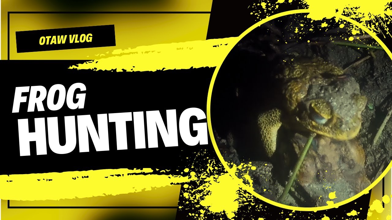 FROG HUNTING - YouTube