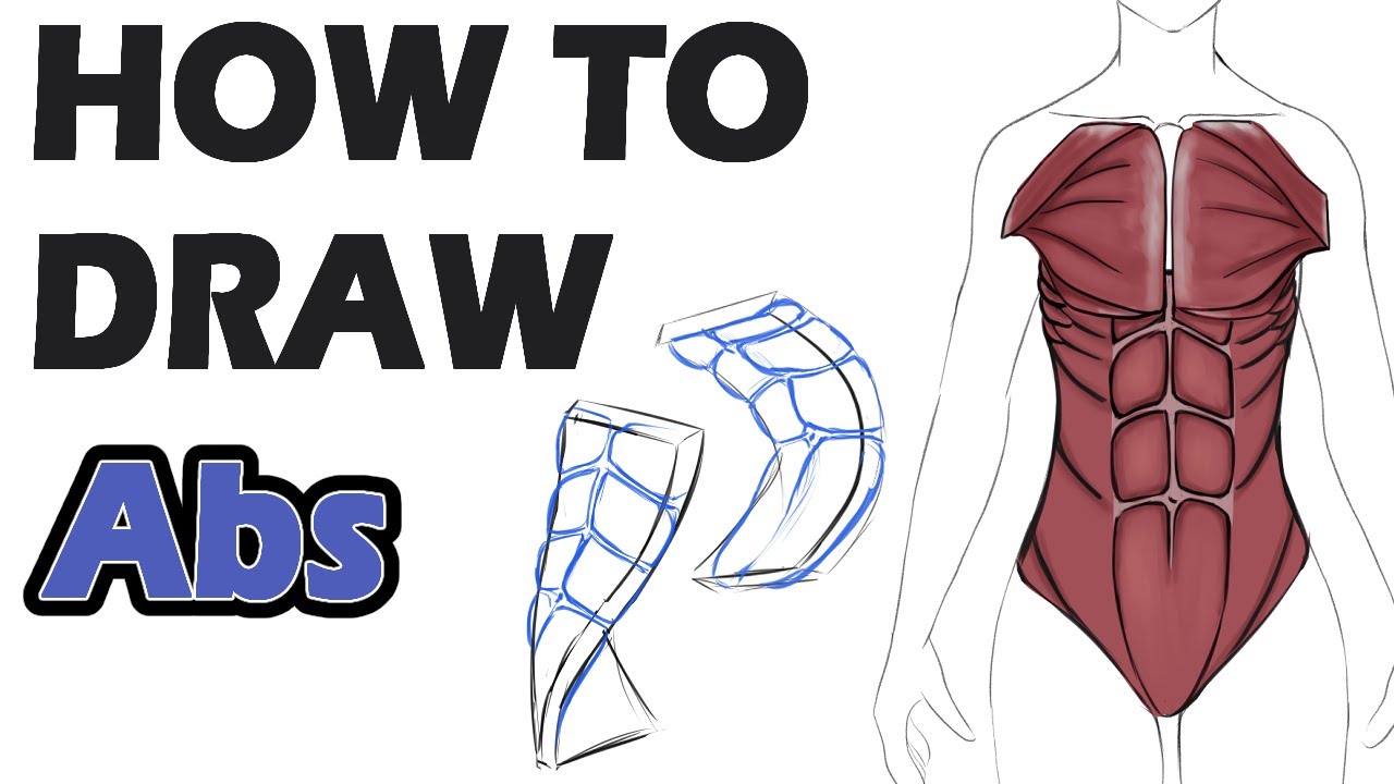 Learn to Draw Abs: Easy Core Anatomy Breakdown - YouTube