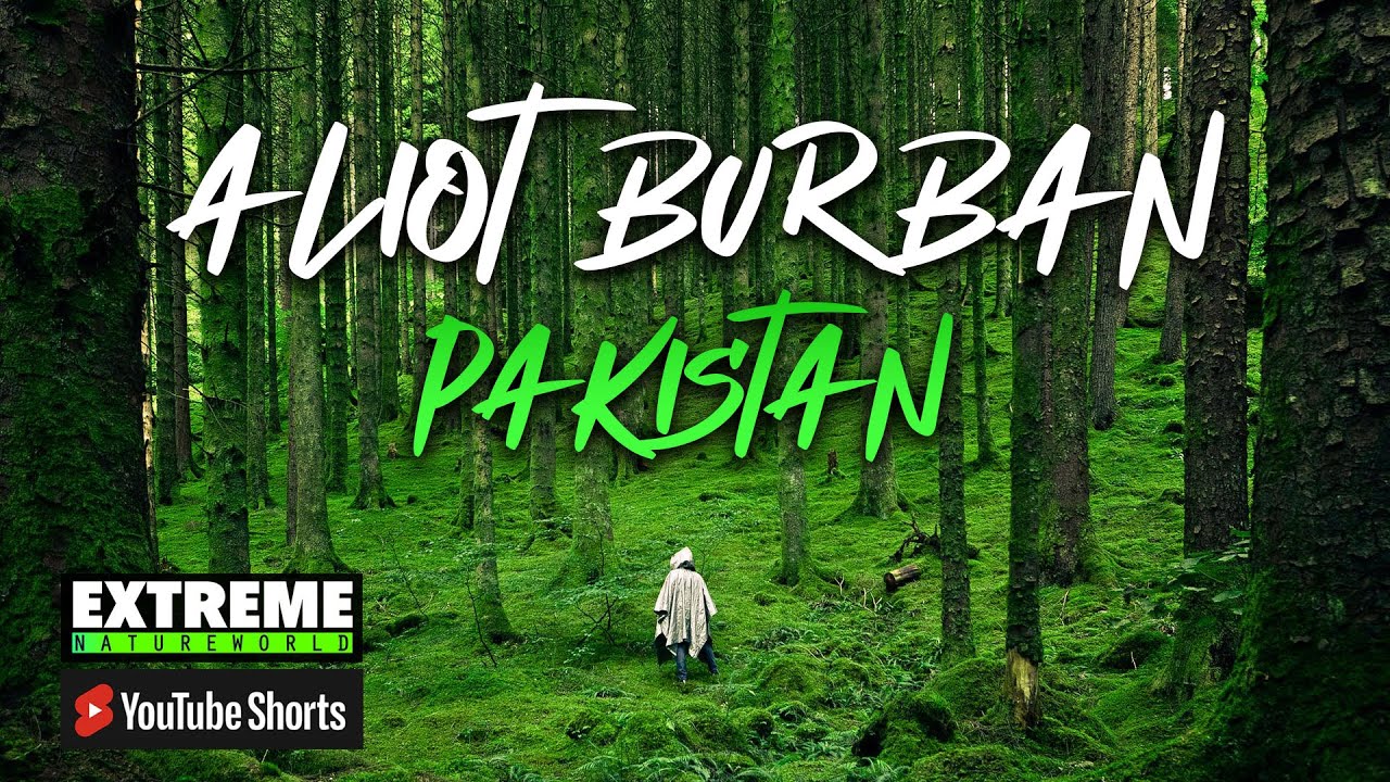 Aliot Burban Murree Pakistan - YouTube