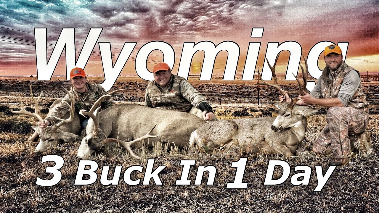 3 Muley Buck in 1 Day (Wyoming Mule Deer Hunt) - YouTube