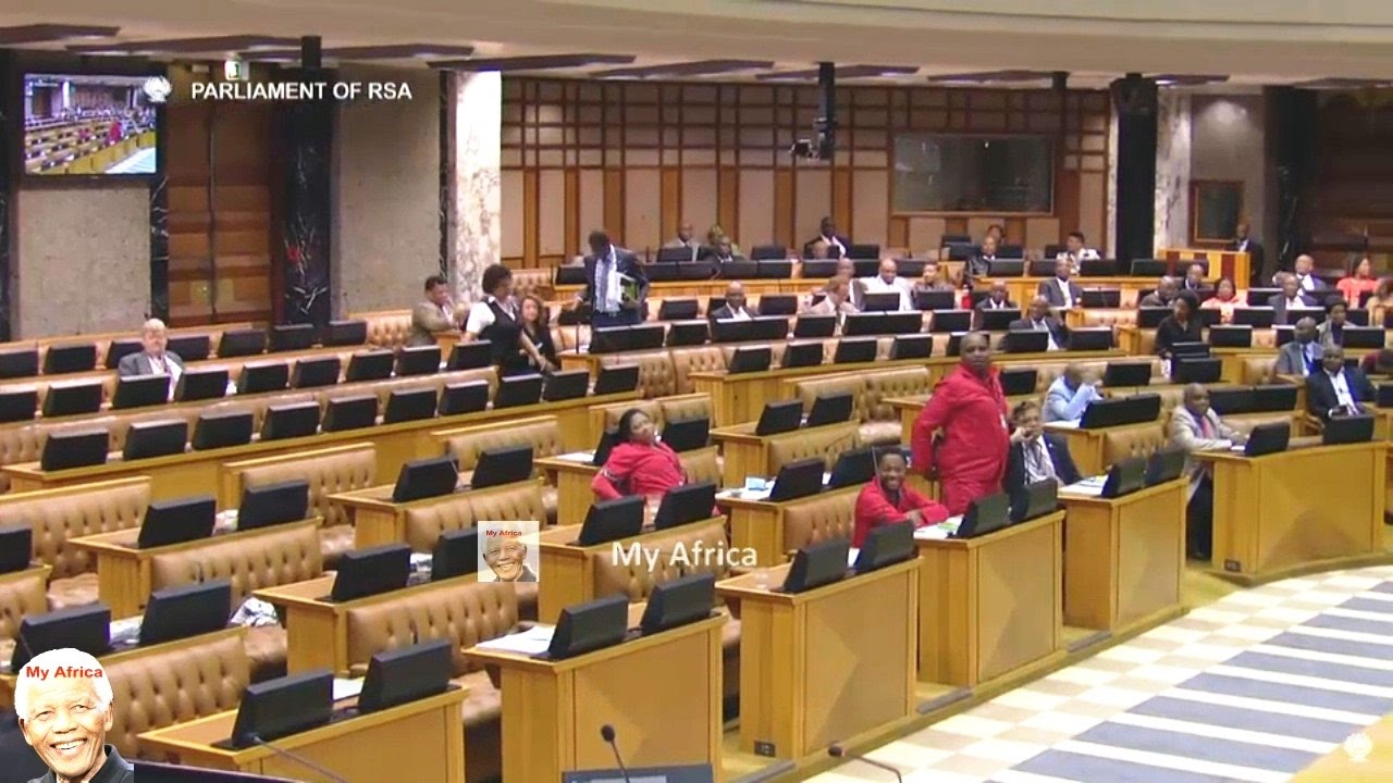 EFF And DA Blocks Bill Cleverly By Leaving Parliament No Quorum - YouTube
