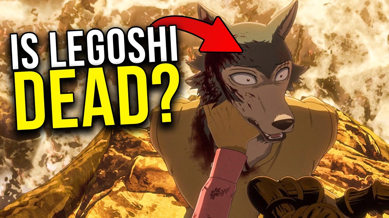 Is Legoshi Dead? In BEASTARS - YouTube