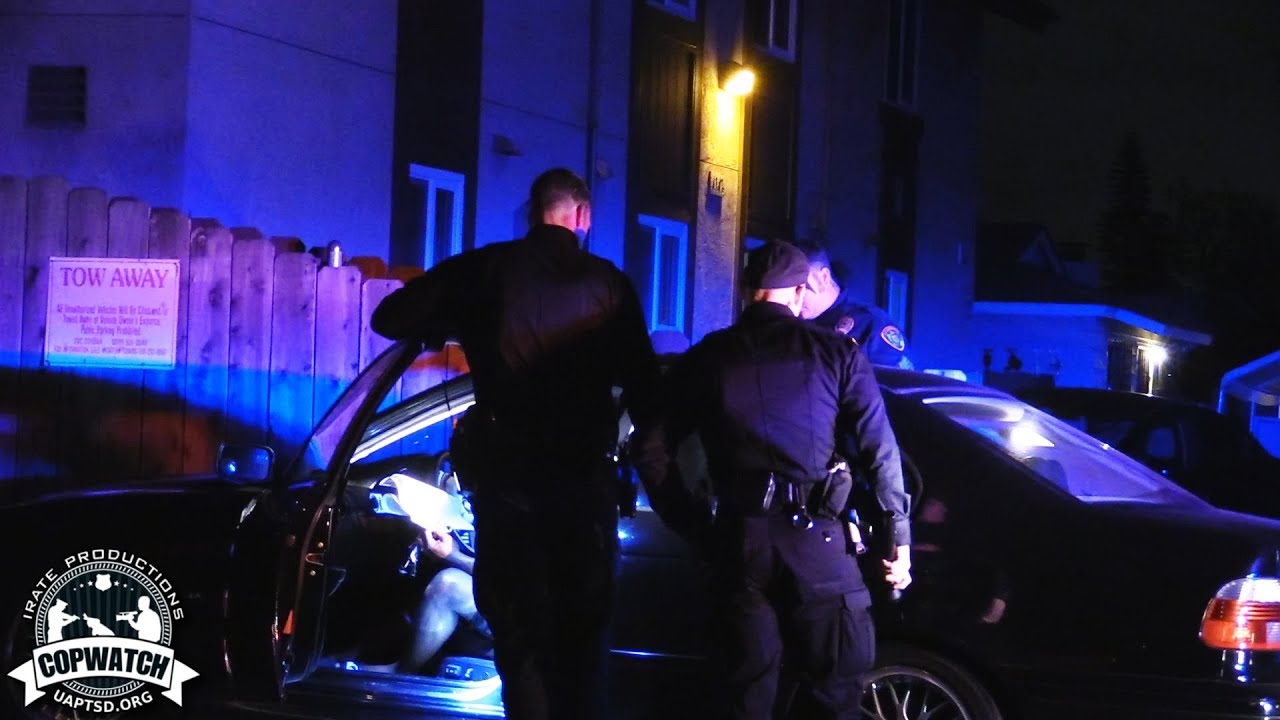Copwatch | Profiling Tinted Window Traffic Stop | No Citation - YouTube