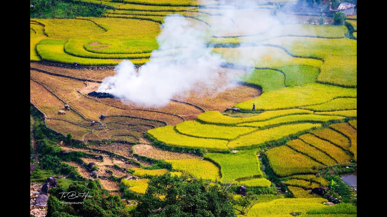Sin Chai Village, A Must-Go Place For Tourist And You Won't Miss It (HD ...