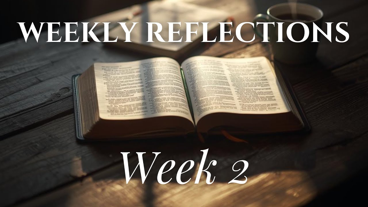 Bible in a Year - Week 2 Reflection | Genesis 7–17: Trust Without ...