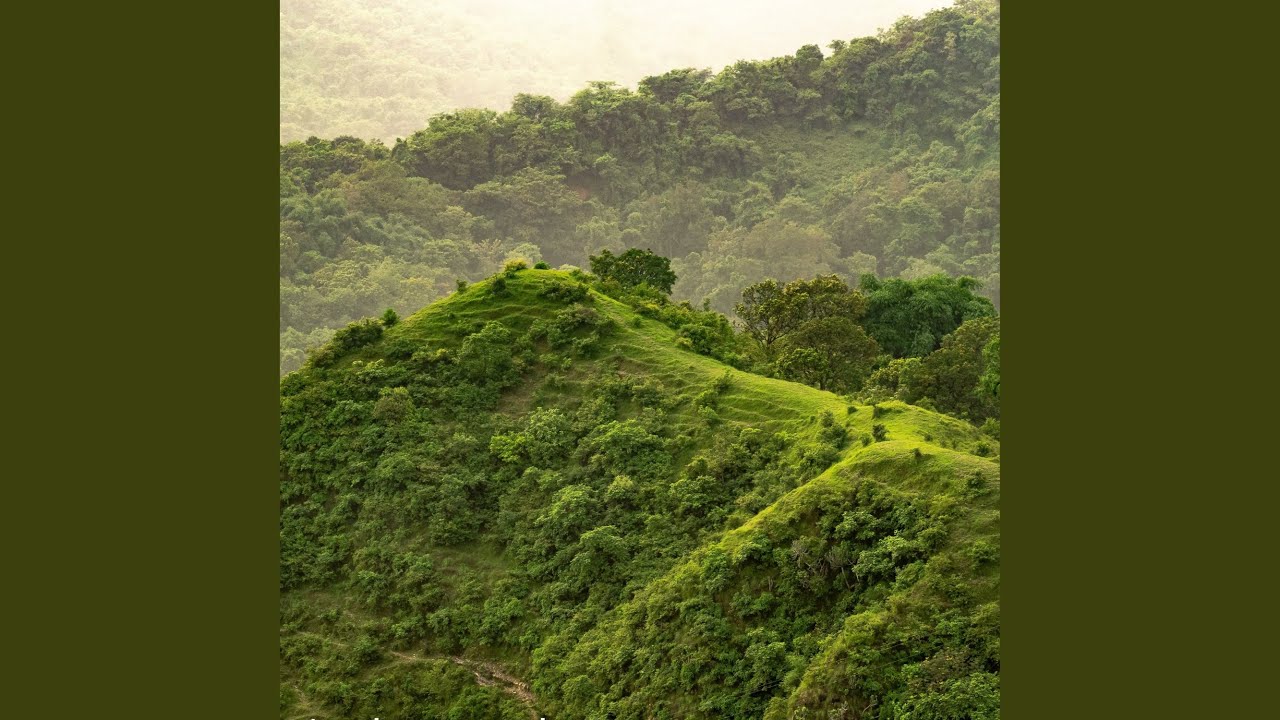 Twilight Green - YouTube