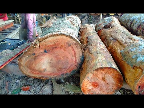 Kayu Rambutan Alas, Hasil Seteking, Mewah dan sangat menawan. - YouTube
