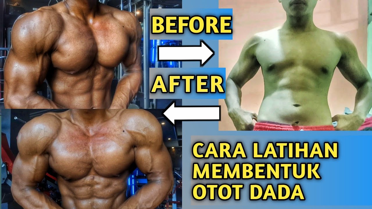 Ini cara membentuk otot dada yang tebal !! | CARA MEMBENTUK OTOT DADA ...