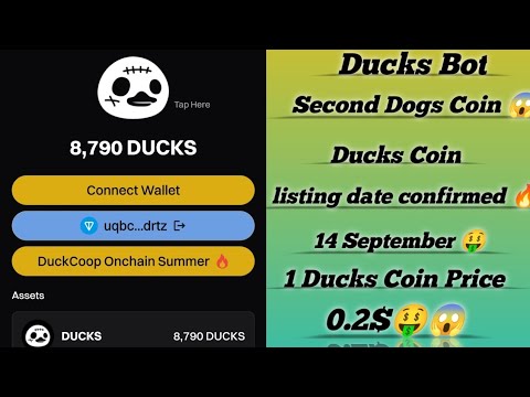Ducks Bot | Telegram project Ducks coin bot | Ducks Coin listing date 18sep | duck coin real or ...