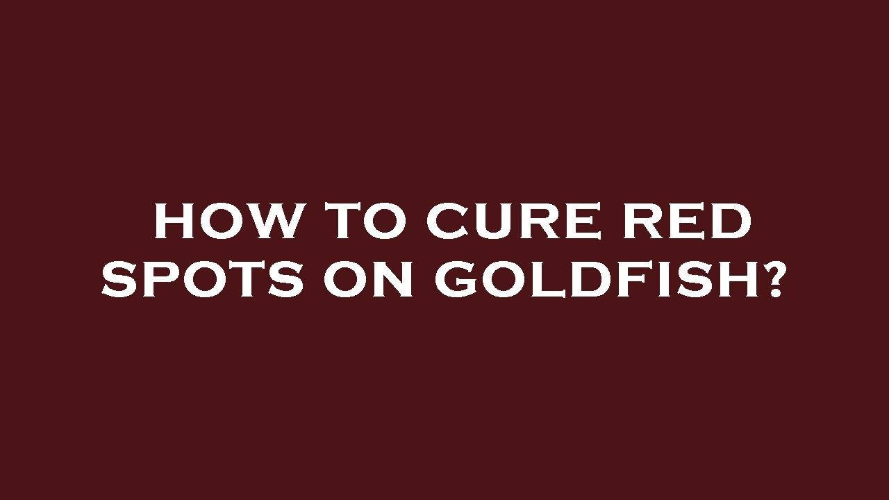 How to cure red spots on goldfish? - YouTube