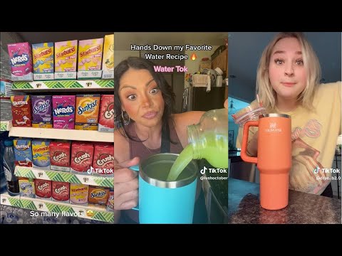 2023 Stanley Tumbler TikTok WaterTok Water Recipes compilation!