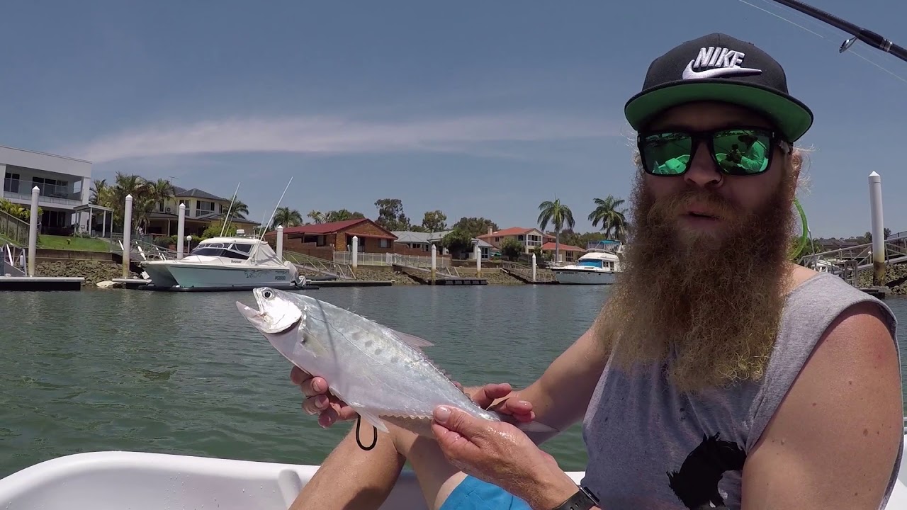 The Start of Summer! Fishing The Noosa River, 2018. #MFJ - YouTube