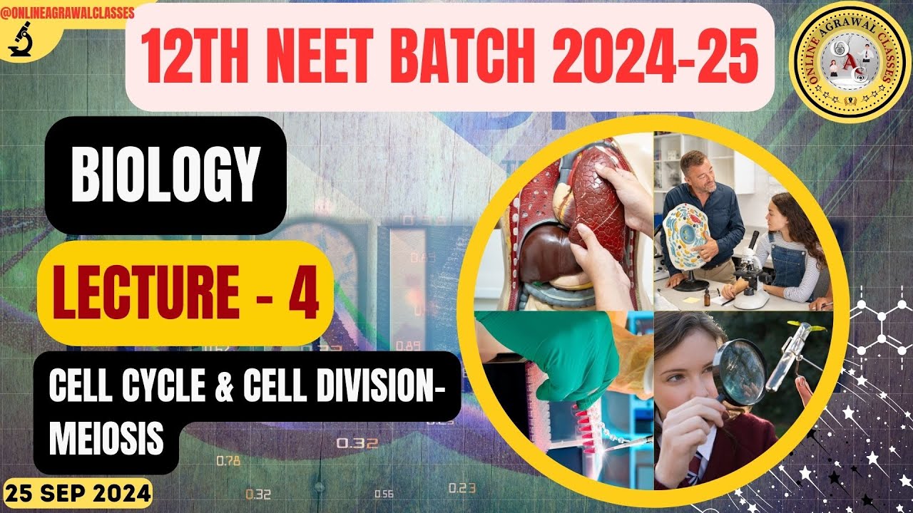 12th | NEET-2024-25 | BIOLOGY | CELL CYCLE & CELL DIVISION | LECTURE- 4 ...