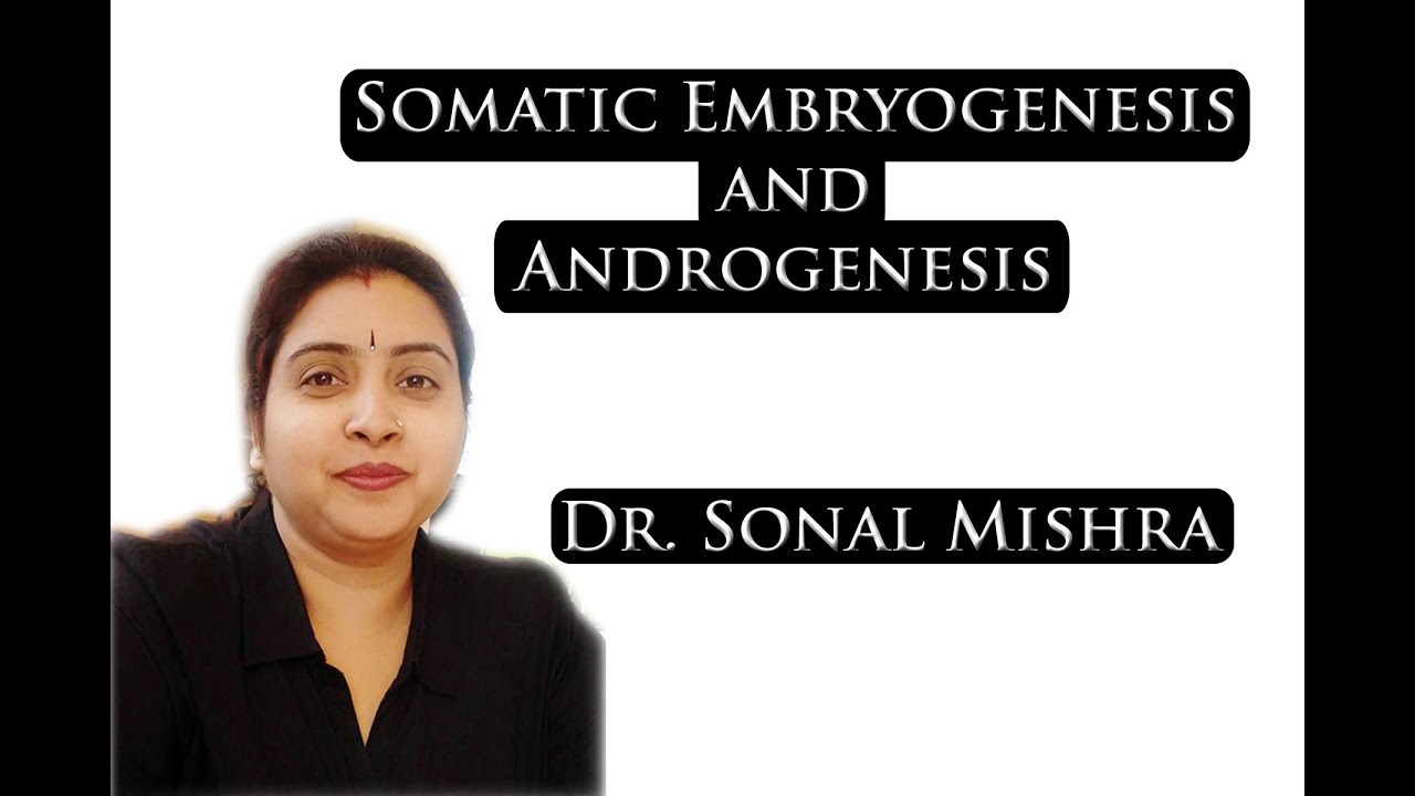 Somatic embryogenesis and Androgenesis by Dr. Sonal Mishra - YouTube