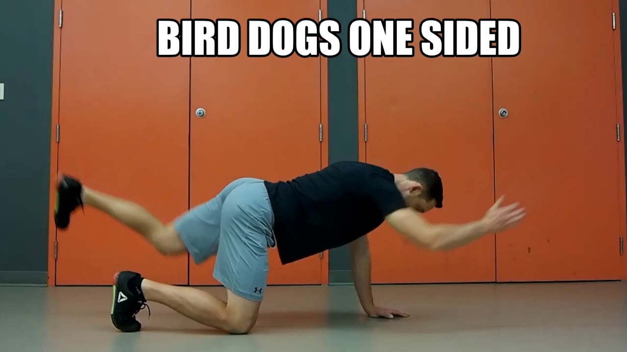 Bird Dogs One Sided - YouTube