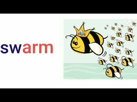 sw words / Consonant blends / Initial blends sw words / Learn Phonics ...