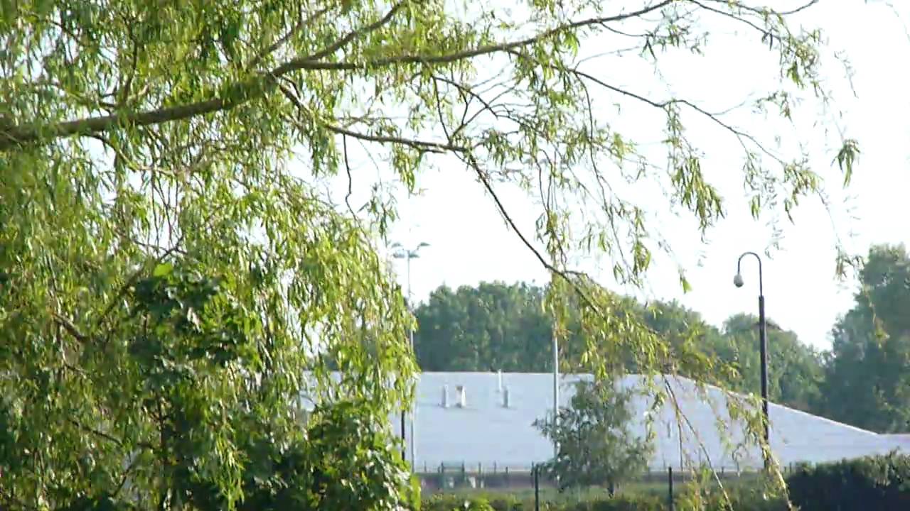 Panasonic Lumix TZ8 Test Video