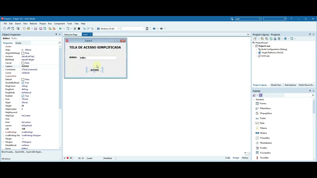 TELA DE ACESSO SIMPLIFICADA - DELPHI 10.3 - YouTube