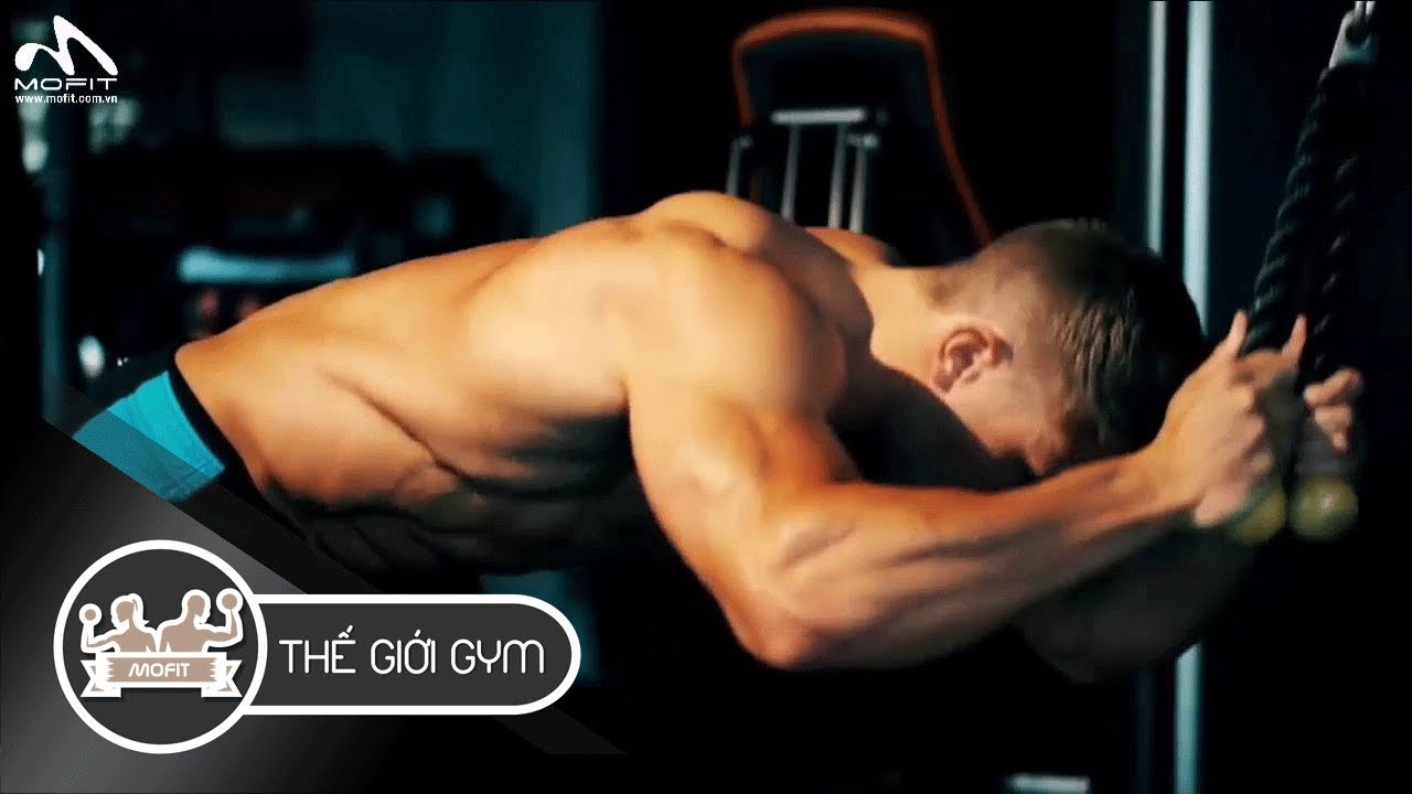 Hướng Dẫn Tập Cơ Bụng 6 Múi Cho Phái Nam | Thế Giới Gym MOFIT - YouTube