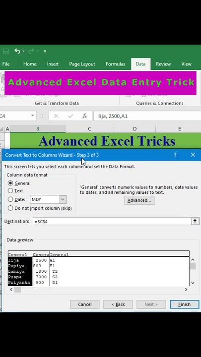Advanced Excel Data Entry Trick| Advanced Excel Trick 2024| #shortsvideo #ytshorts # ...
