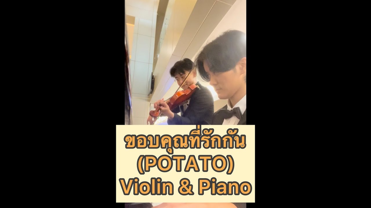 ขอบคุณที่รักกัน (POTATO) - Violin & Piano - YouTube