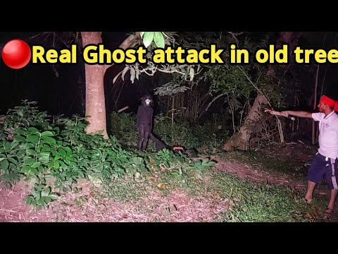 🔴Real Ghost attack in old tree - YouTube
