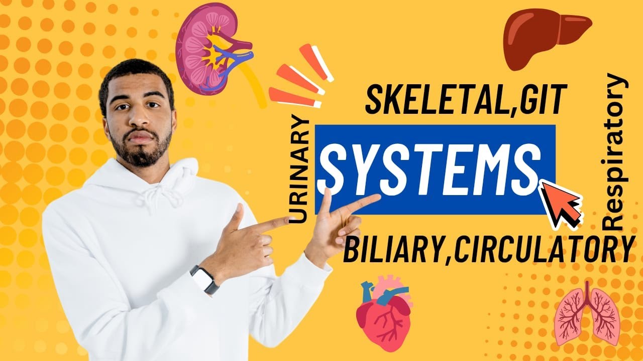 Exploring the Human Body: A Journey Through Our Systems # ...