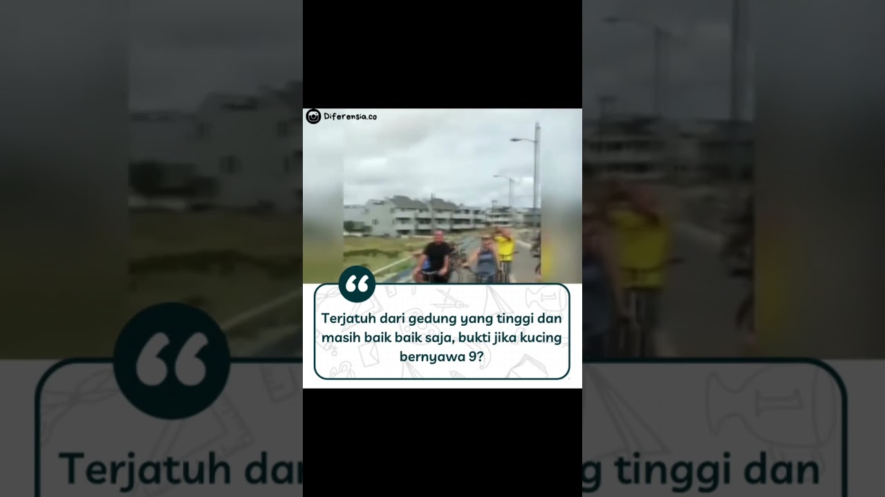 cat falls from high height on building and survives - YouTube