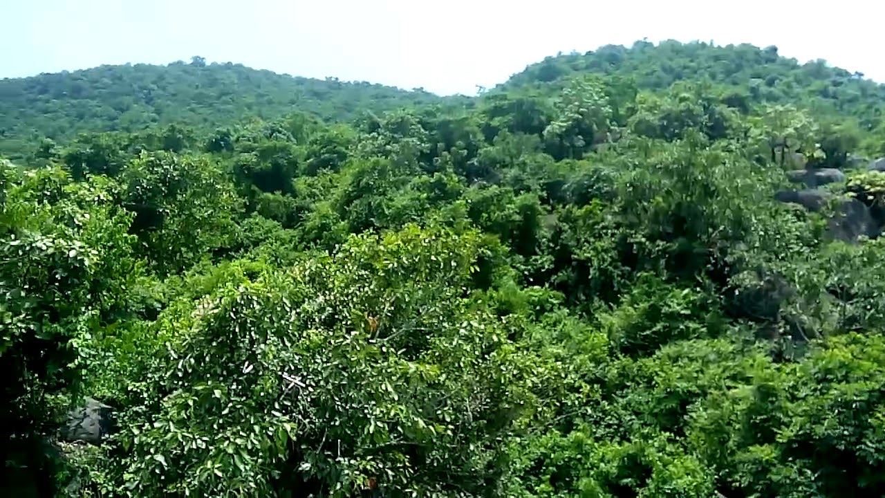 waterfalls thumkunta village meliputti( Mandalam) srikakulam (dist ...
