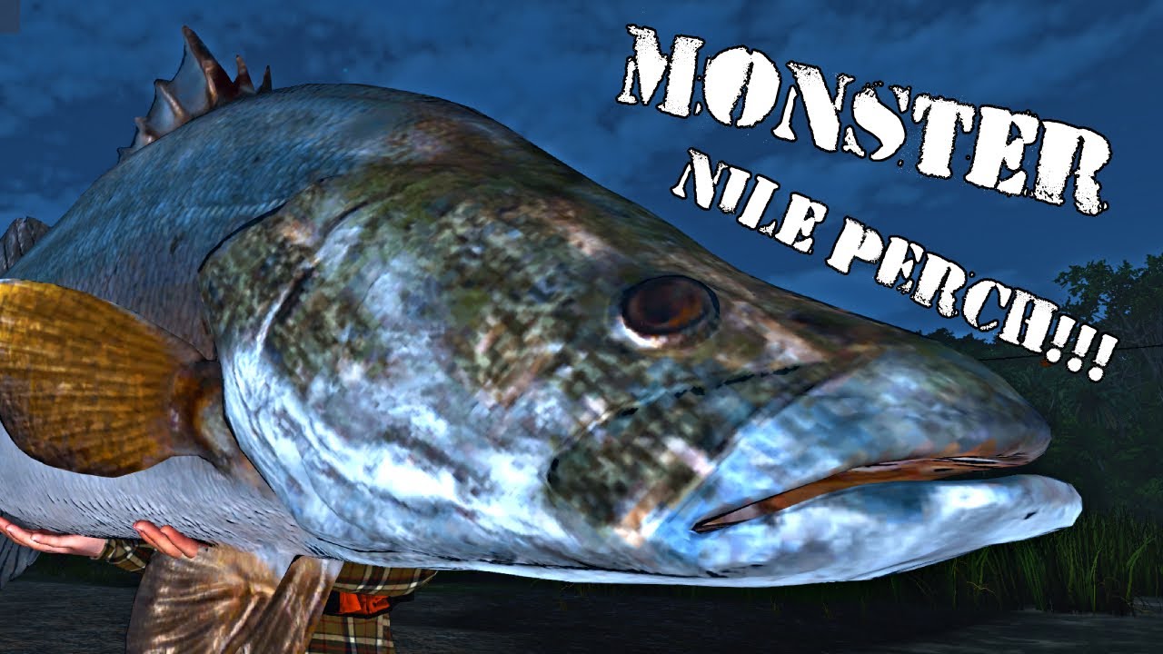 Catching MONSTER NILE PERCH In The CONGO!! (Fishing Planet) - YouTube