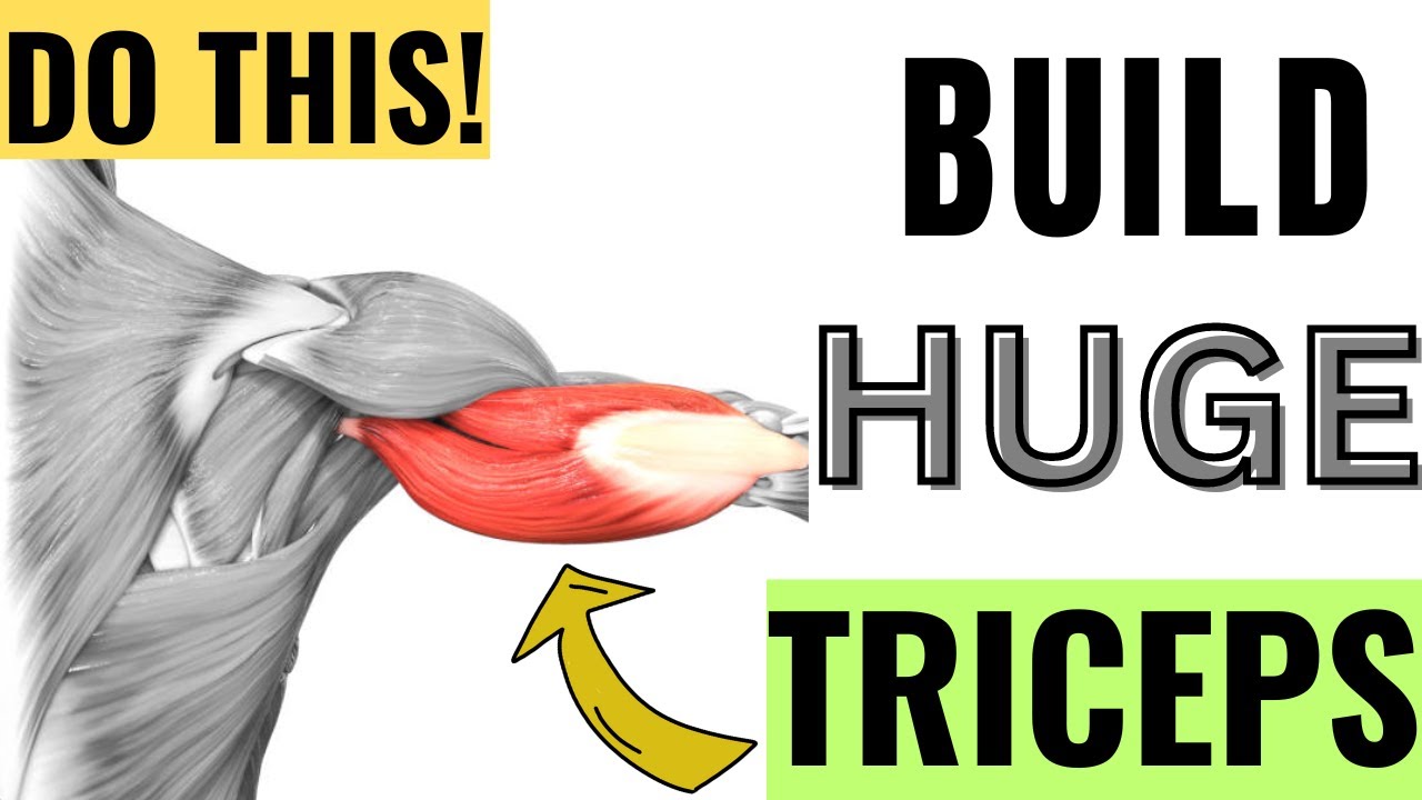 5 Best Exercises to BUILD HUGE TRICEPS FAST! - YouTube