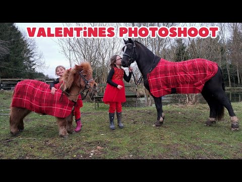 Making Adorable Valentine's Rugs for a Pony Photoshoot | Pony Fun - YouTube
