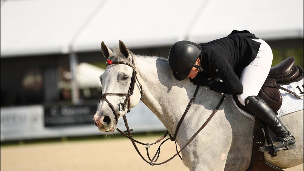 Jelster Van Stal Romano - $30,000 Winning Round @ Hampton Classic - YouTube