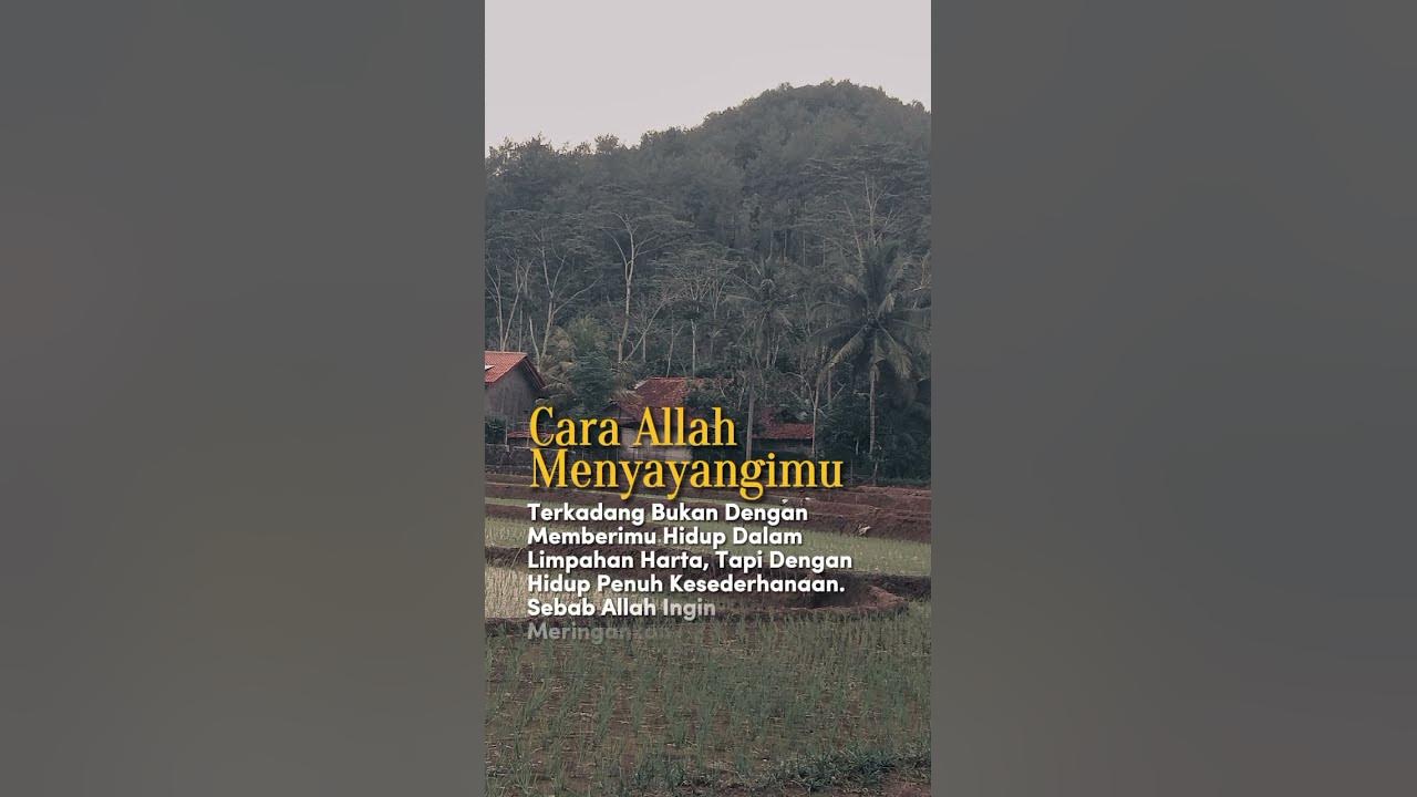 "Cara Alloh menyayangimu"Saling menasehati & berlomba² dlm kebaikan🙏 # ...