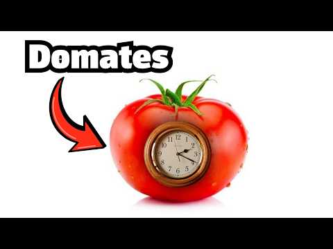 Viral Ders Çalışma Taktikleri Cidden İyi Mi? (değil)