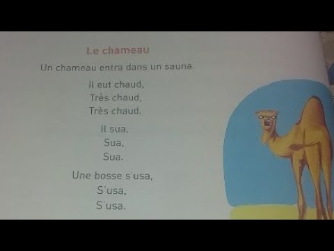 mot de passe CE1 /poésie "Le chameau " - YouTube